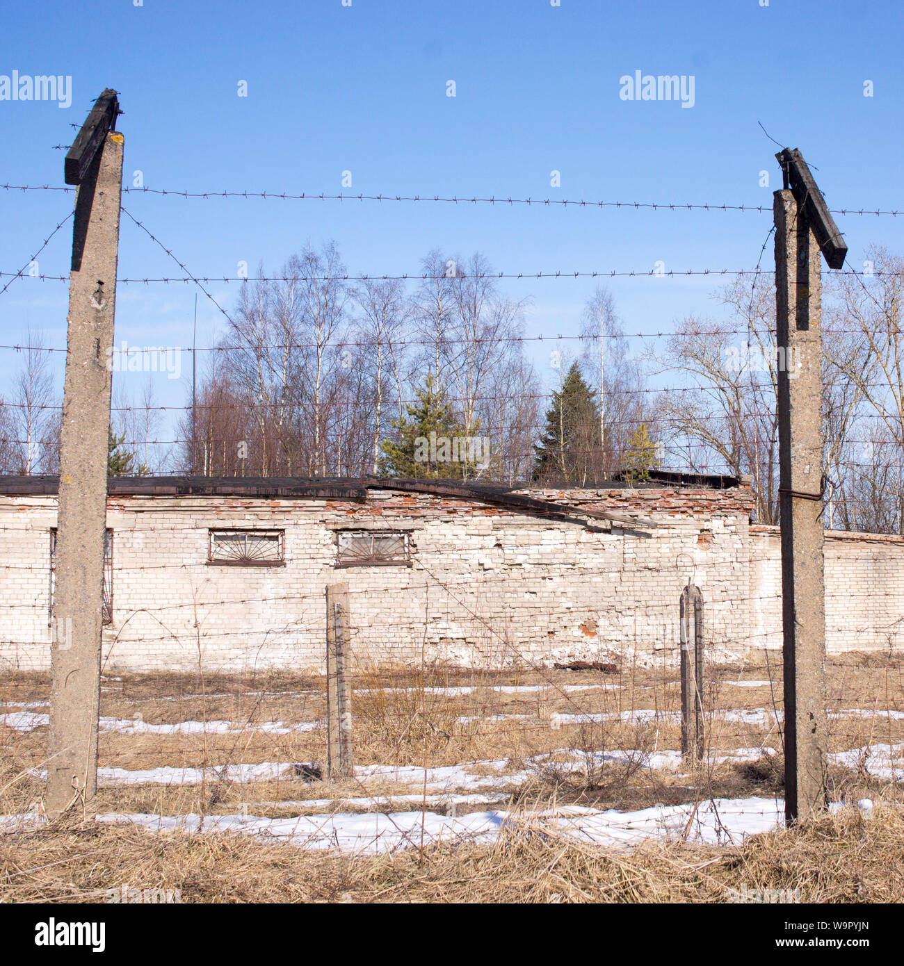 Metal fence wire, War and sky in the background spring Stock Photo - Alamy