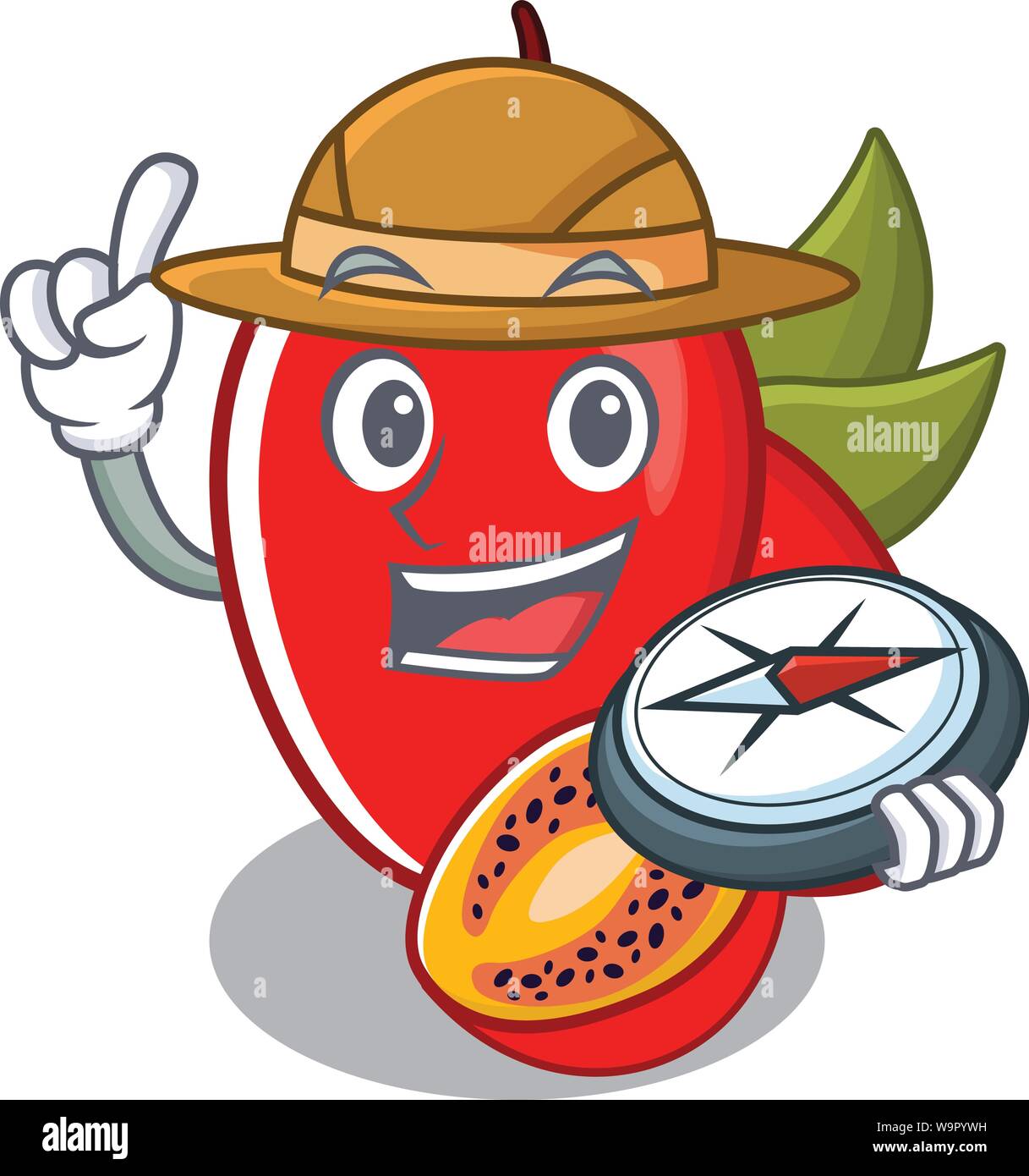 Explorer tamarillo betaceum isolated in the cartoon Stock Vector Image ...