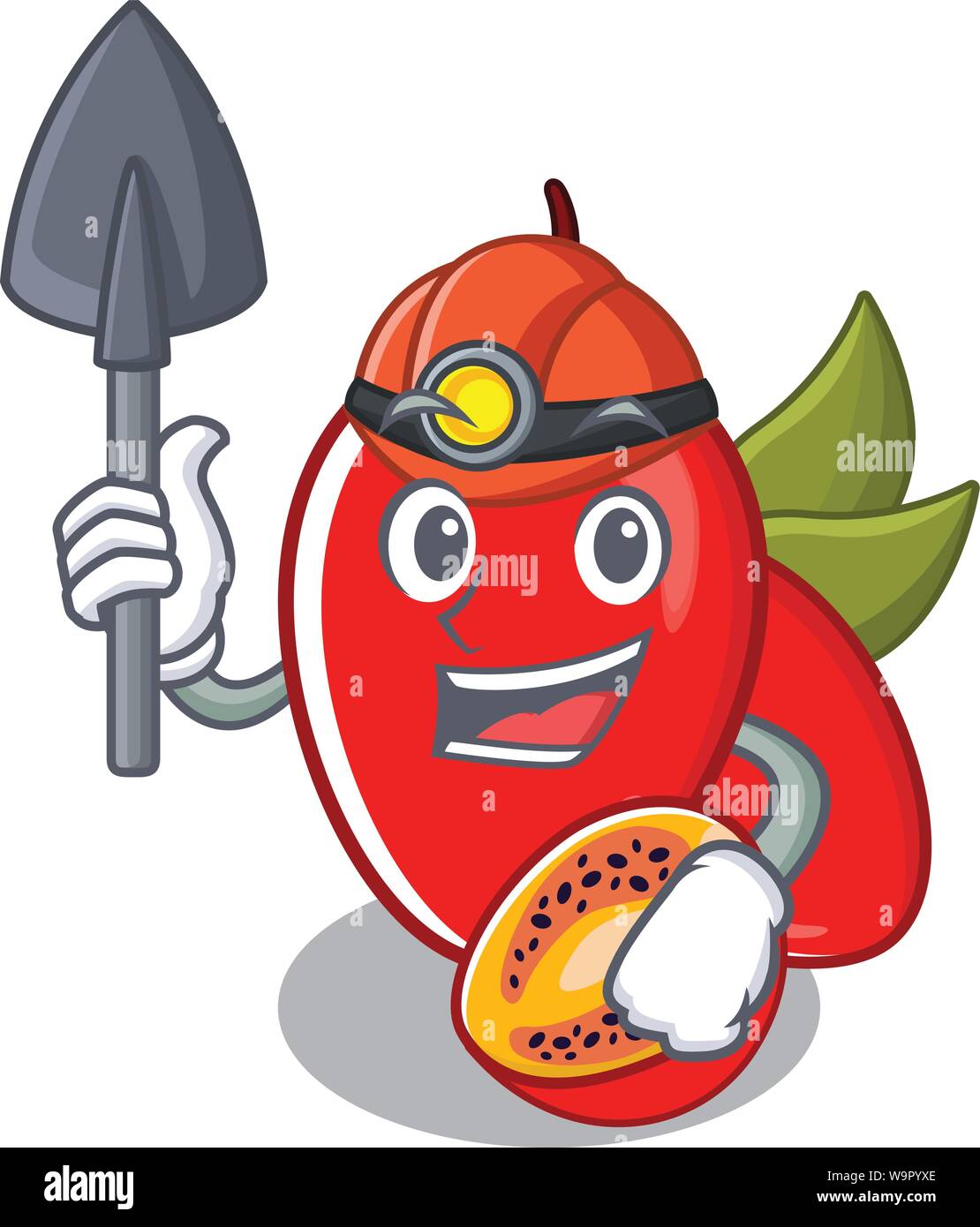 Miner tamarillo betaceum isolated in the cartoon Stock Vector Image ...