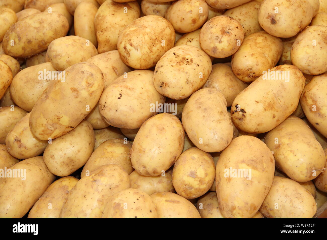 many potatoes in the supermarket Stock Photo - Alamy