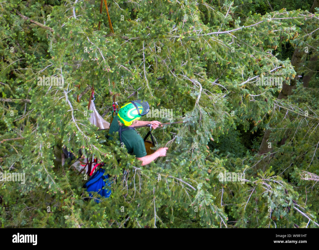 Cone picker hi-res stock photography and images - Alamy