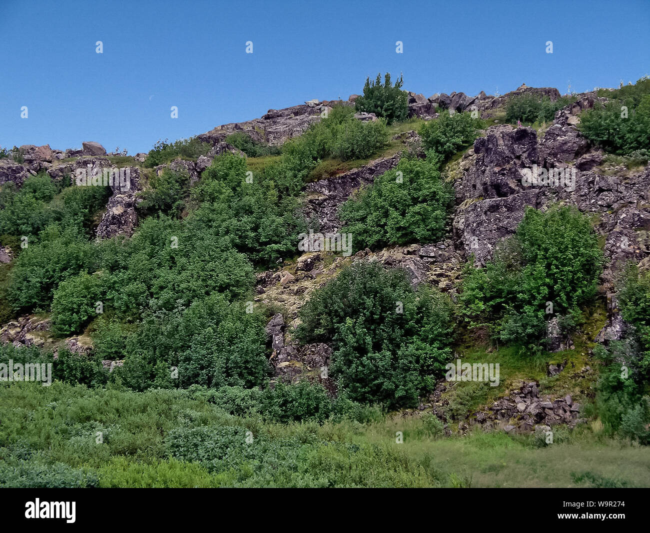 Forest tundra landscape in the summer. Taiga of Siberia. Yamal Stock ...