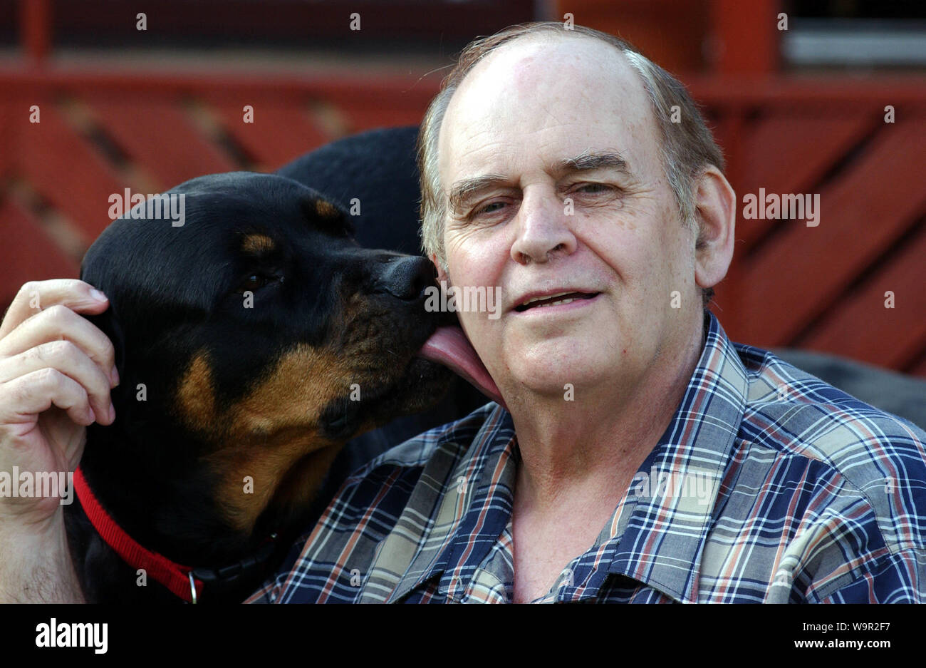 Tam paton bay city rollers hi-res stock photography and images - Alamy