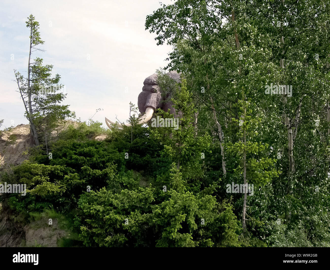 Salekhard mammoth hi-res stock photography and images - Alamy