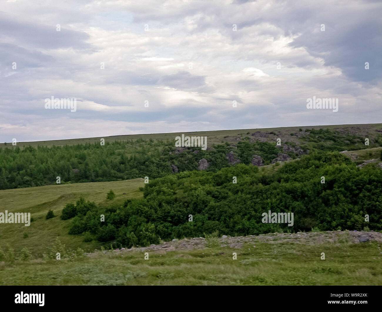 Forest tundra landscape in the summer. Taiga of Siberia. Yamal Stock ...
