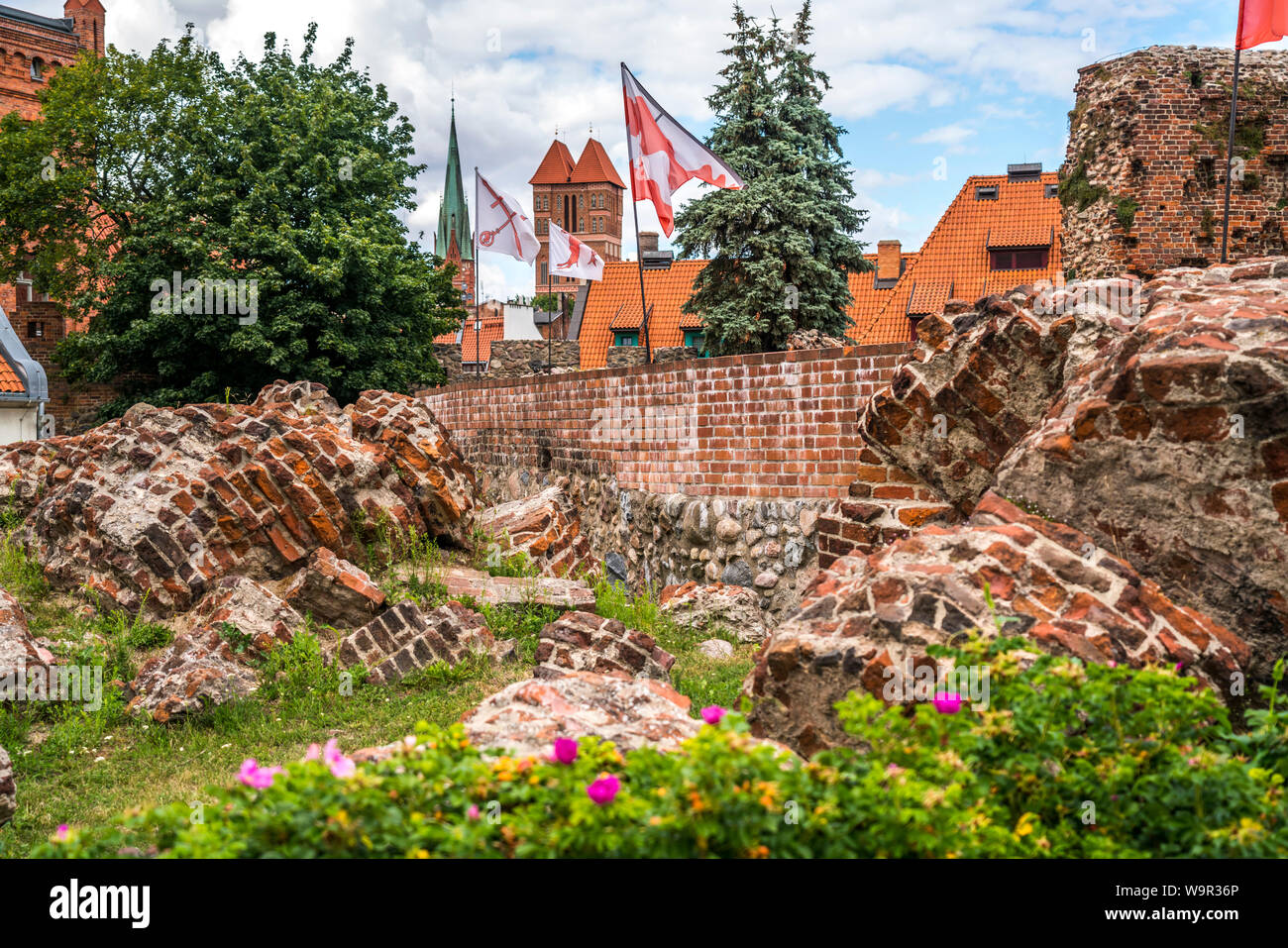 Ruine der Ordensburg Thorn des Deutschen Ritterordens, Torun, Polen ...