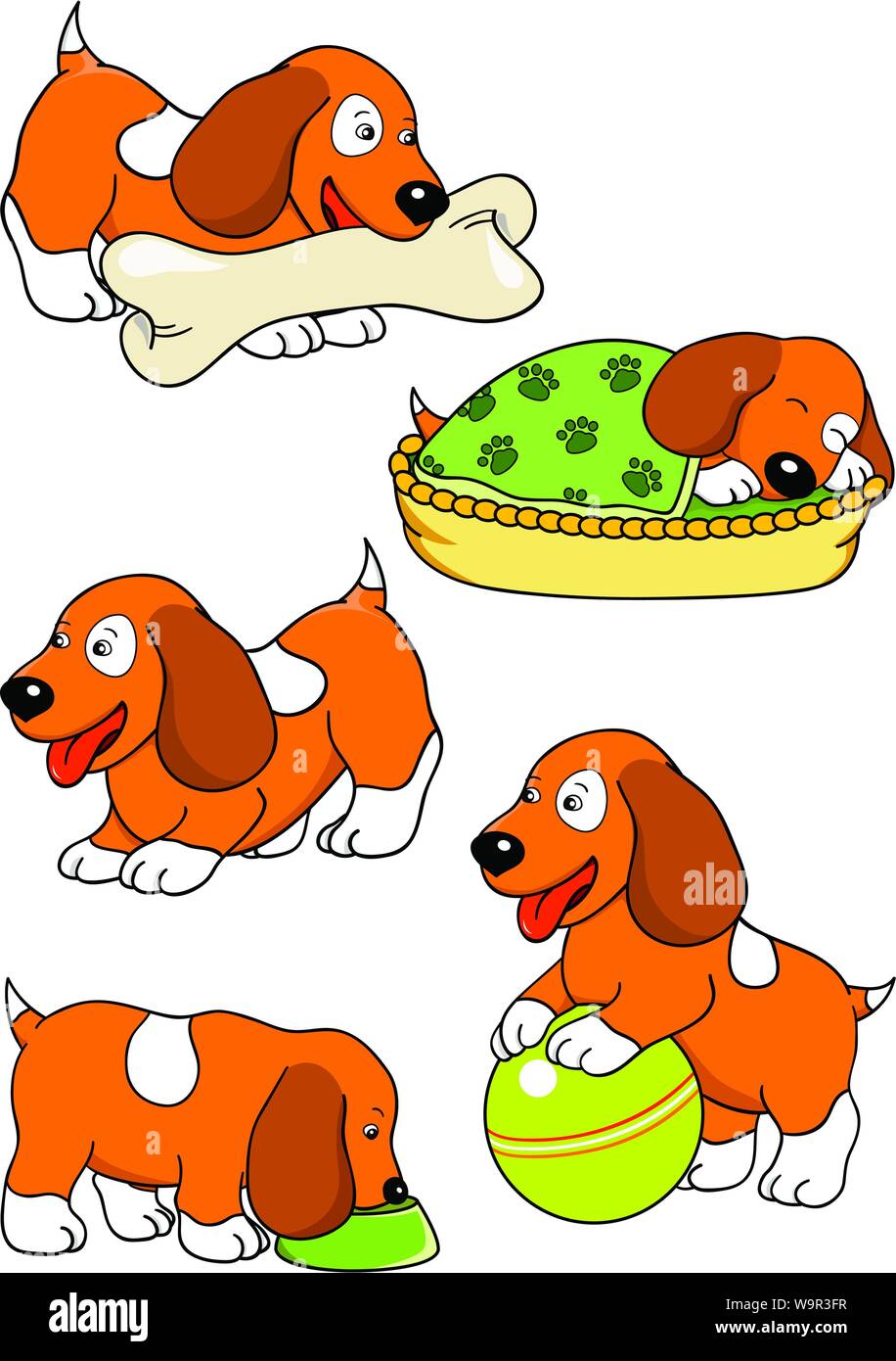 Phalene or continental toy spaniel dog Stock Vector Images - Alamy