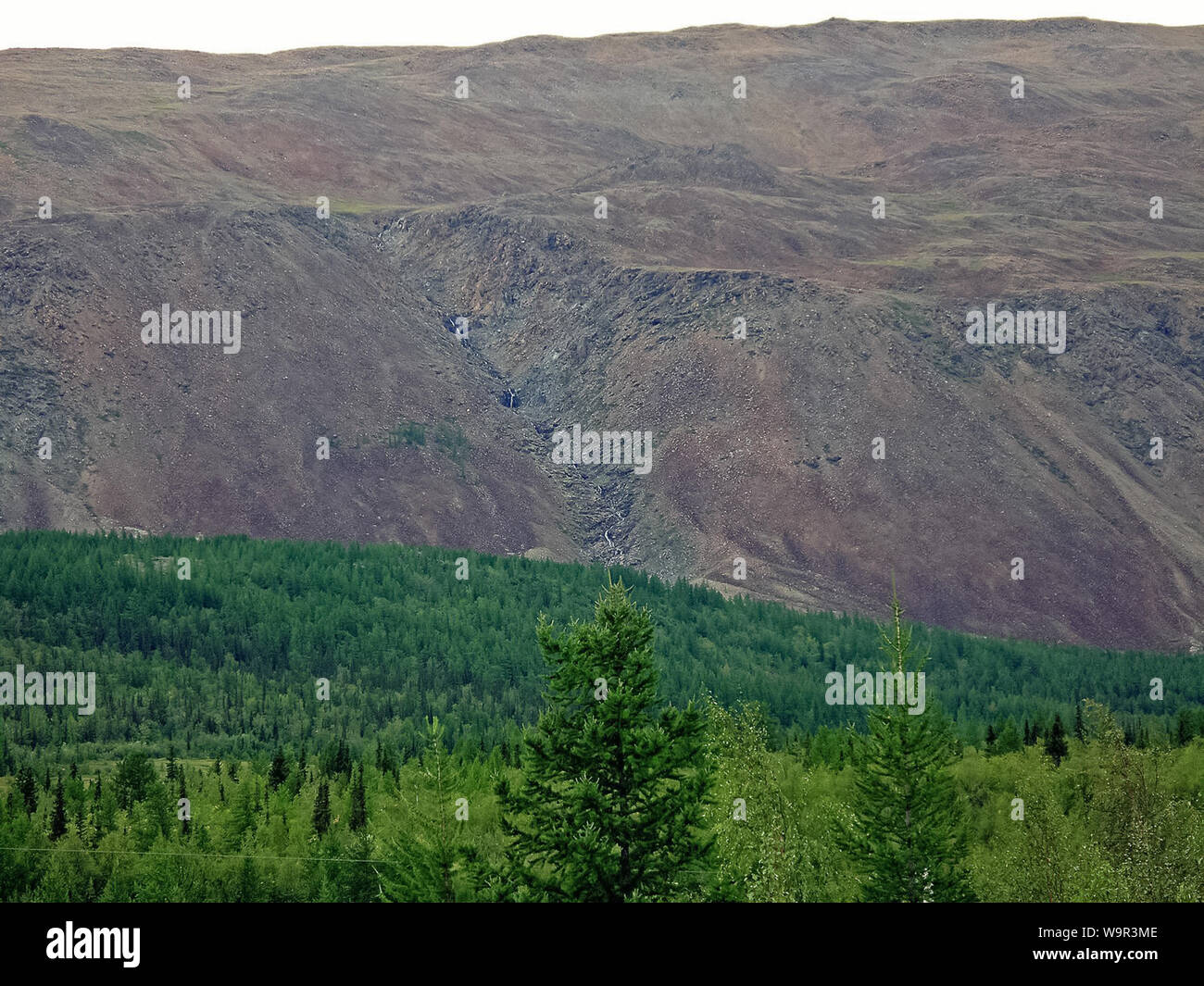 Forest tundra landscape in the summer. Taiga of Siberia. Yamal Stock ...