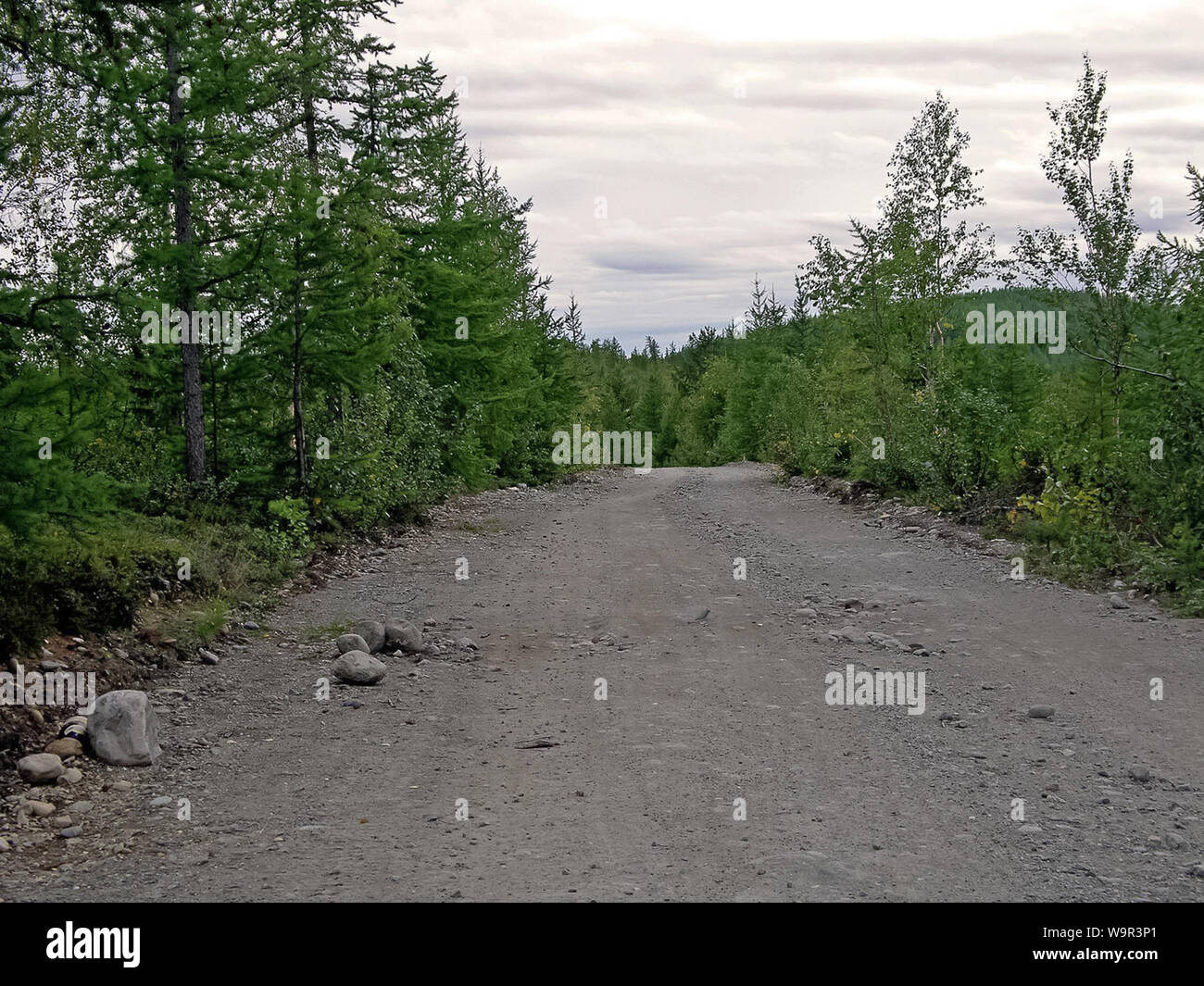 A dirt road in the tundra in the summer. The road from the rubble mound ...