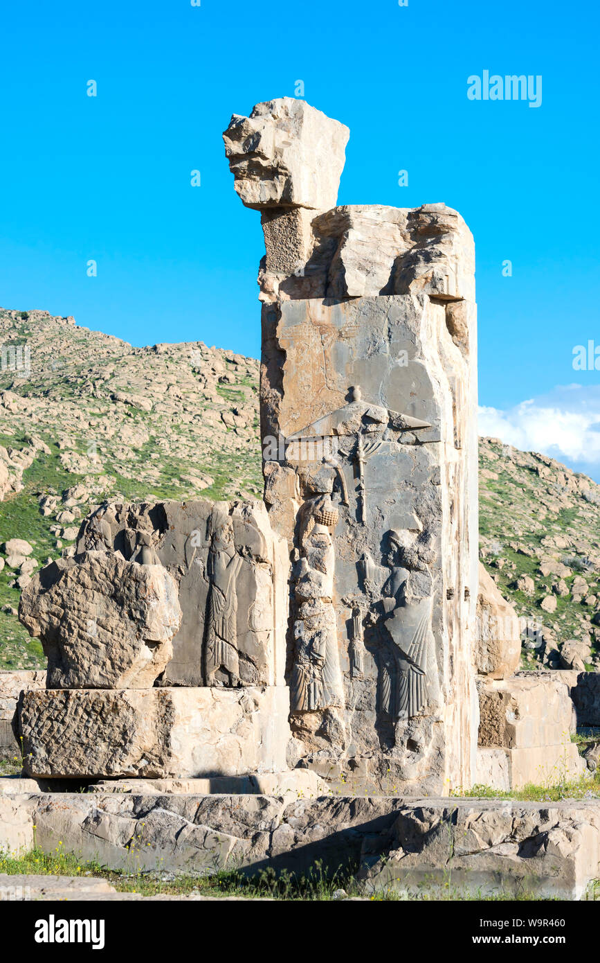 Tachara hi-res stock photography and images - Alamy