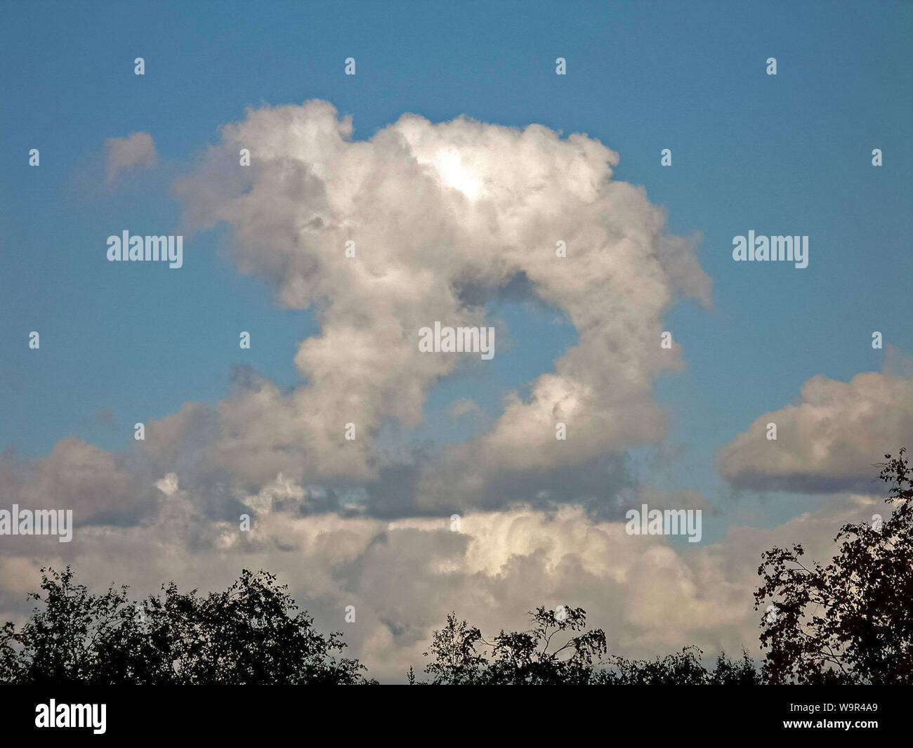 Forest tundra landscape in the summer. Taiga of Siberia. Yamal Stock ...
