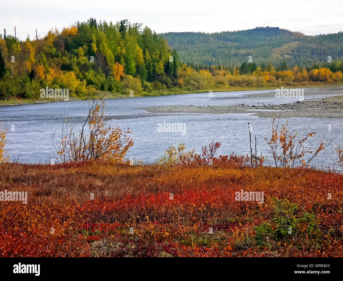 Yamal Peninsula Landscape