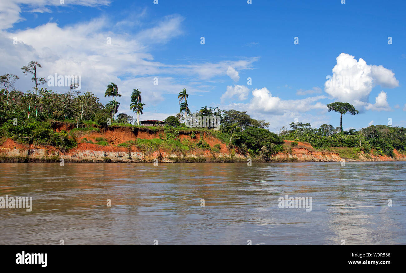 View of Napo river in Ecuadorian rainforest Stock Photo - Alamy