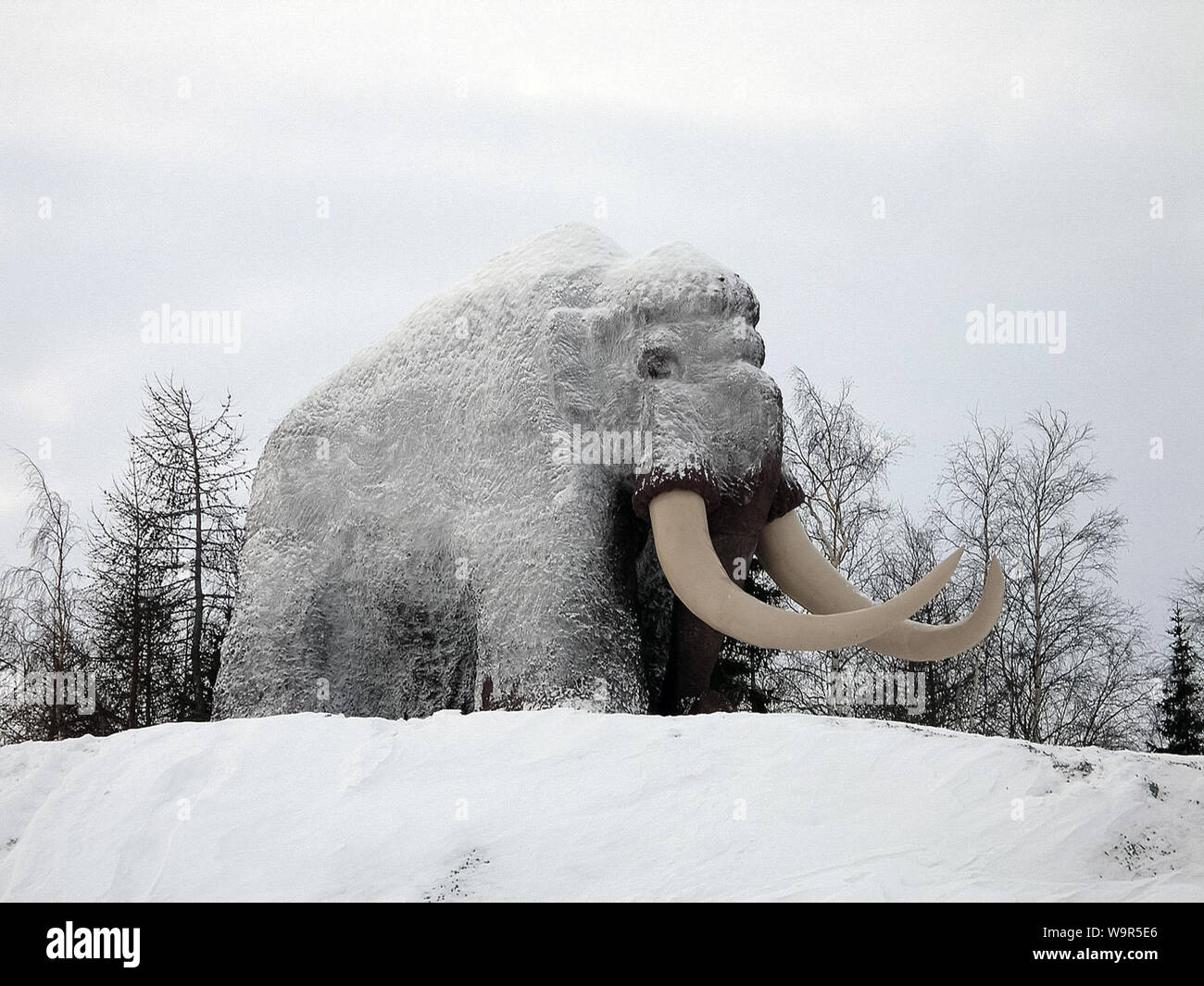 Mammoth tusks north sea hi-res stock photography and images - Alamy