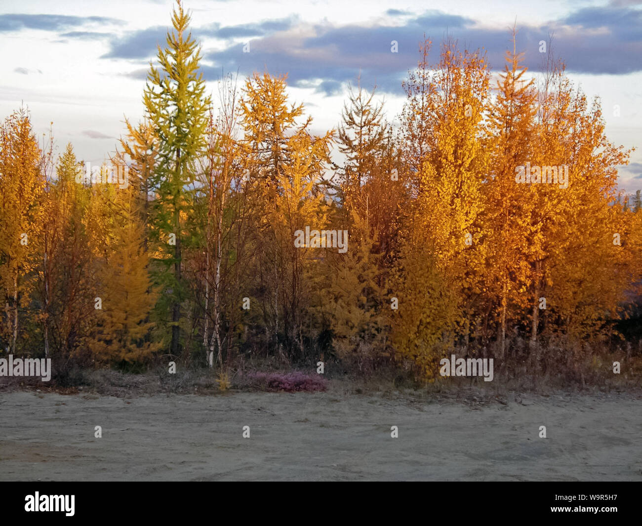 Torn off earth hi-res stock photography and images - Alamy