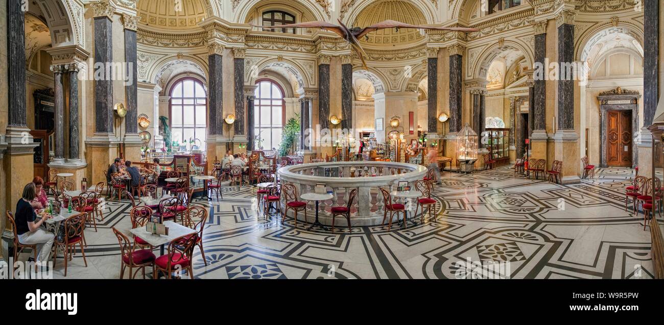 Vienna history hi-res stock photography and images - Alamy