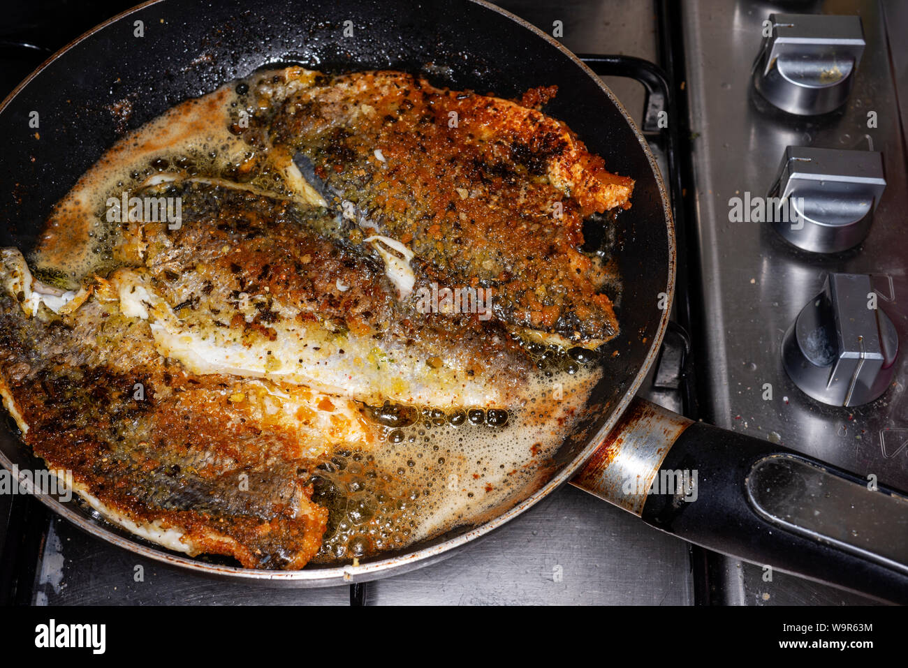 British bass fish hi-res stock photography and images - Alamy