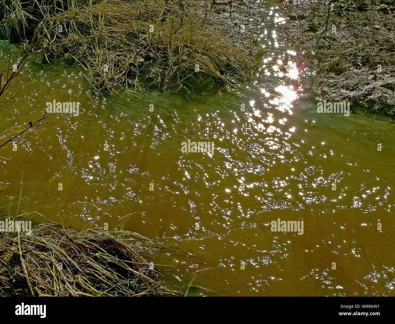 Streams of water in a small river. The flow of water Stock Photo - Alamy