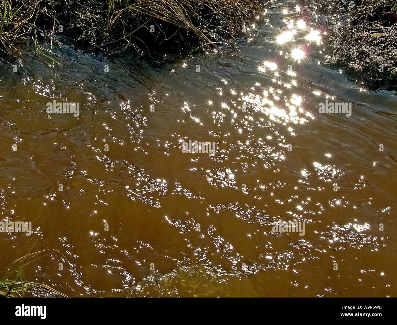 Streams of water in a small river. The flow of water Stock Photo - Alamy