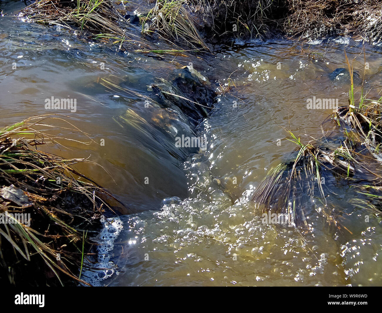 Streams of water in a small river. The flow of water Stock Photo - Alamy