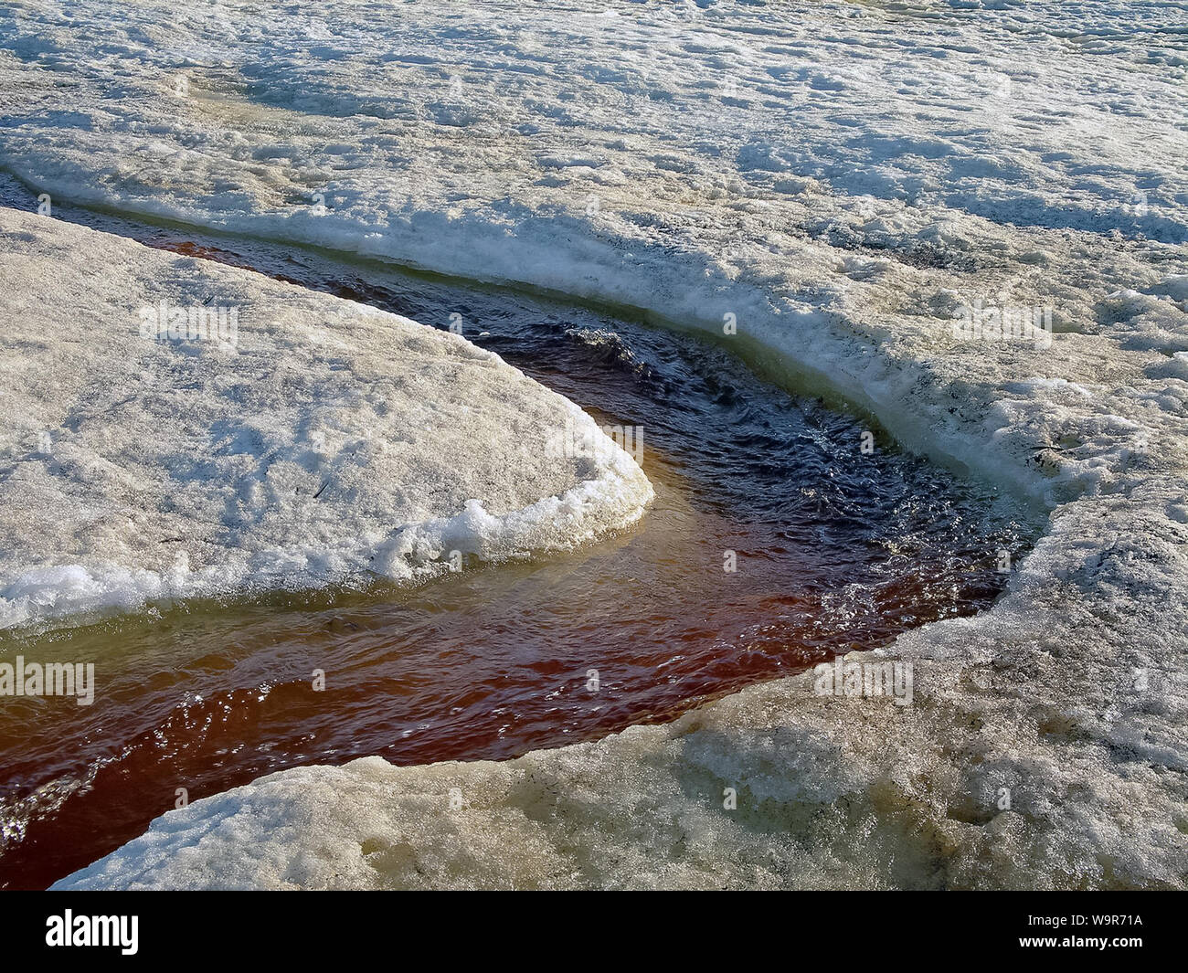 Melting snow in the spring. The spring heat will melt the snow. Brooks ...