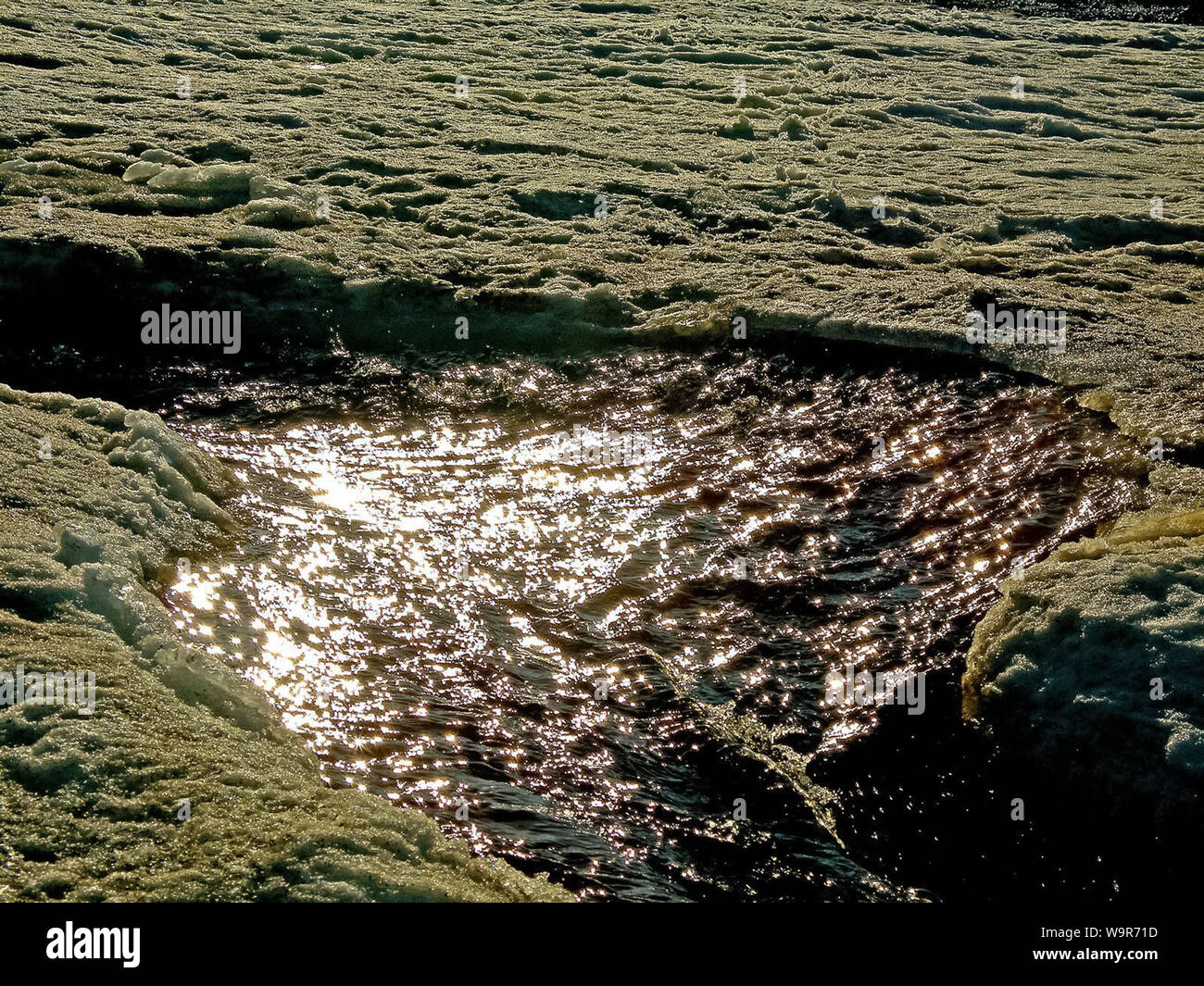 Melting snow in the spring. The spring heat will melt the snow. Brooks ...
