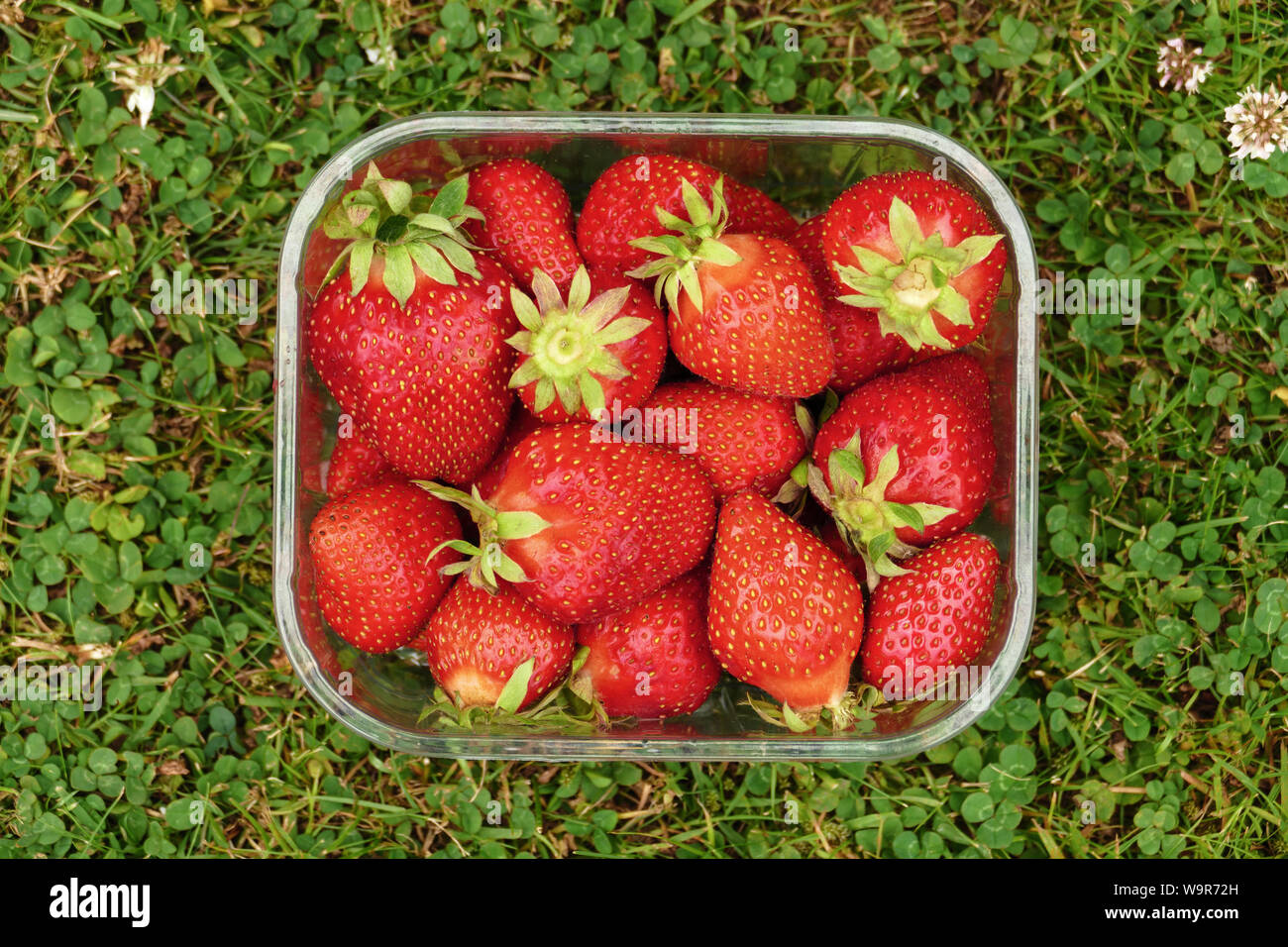 Strawberries overhead hi-res stock photography and images - Alamy