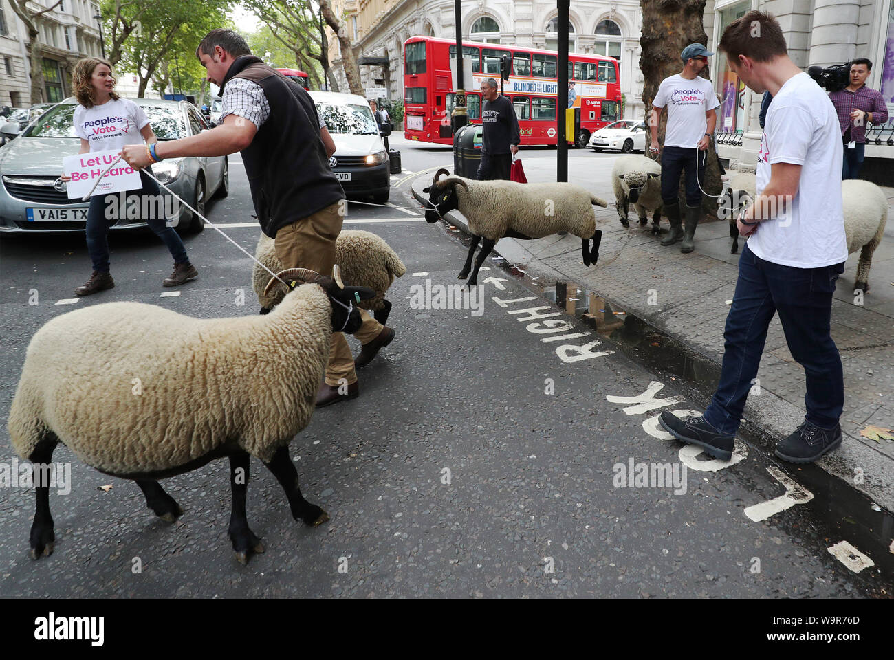 Herded past government buildings hi-res stock photography and images ...
