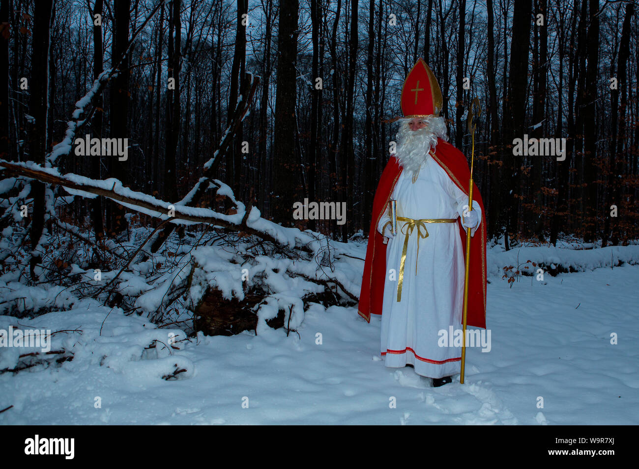 Santa Claus in forest, Ludwigshain, Bavaria, Germany Stock Photo - Alamy