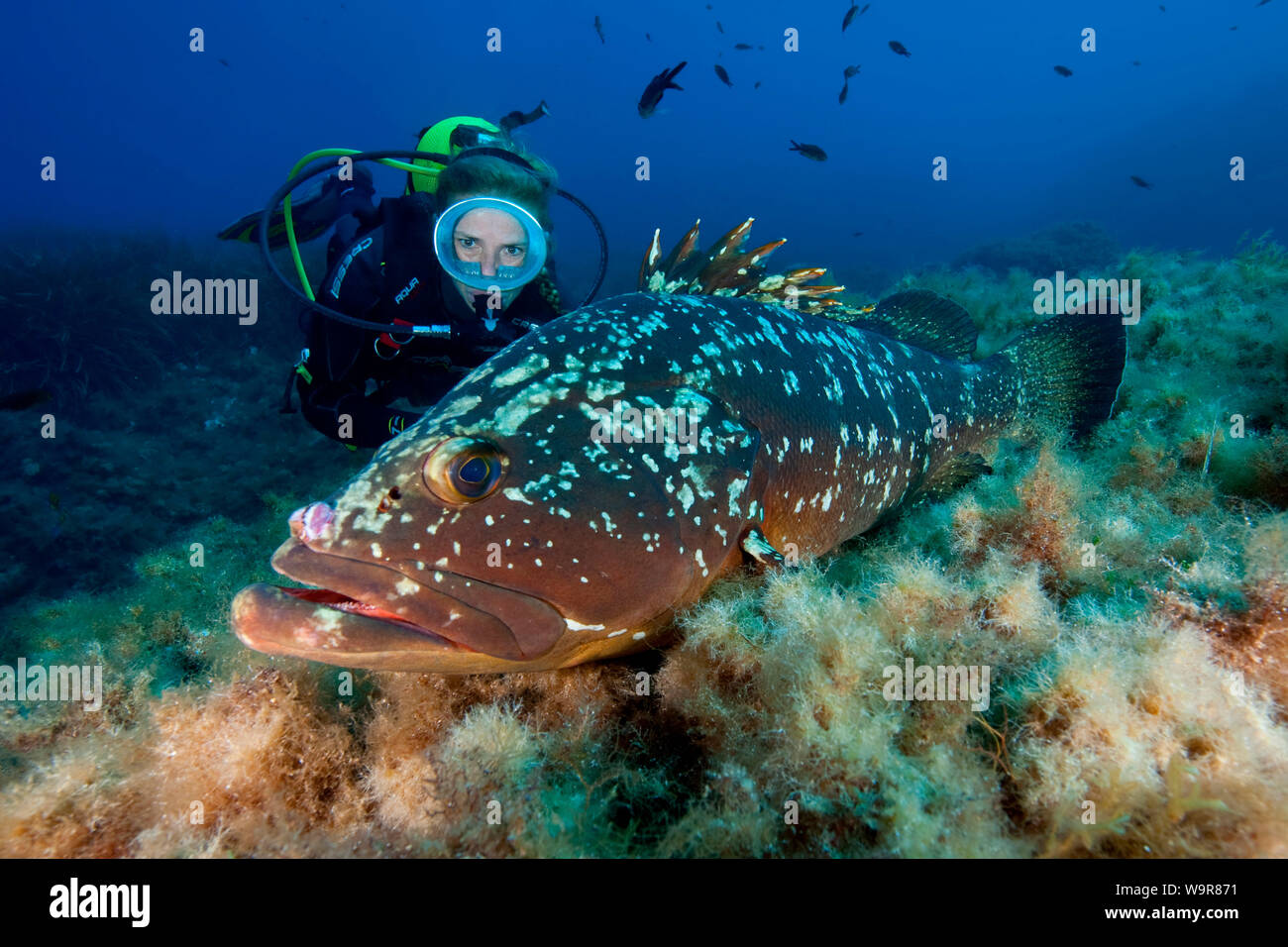 N p archipielago de cabrera hi-res stock photography and images - Alamy