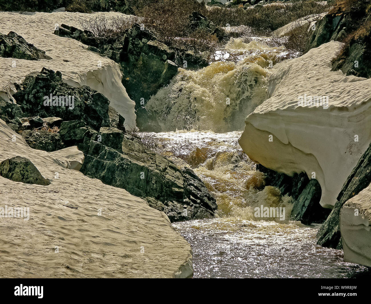 Melting snow in the spring. The spring heat will melt the snow. Brooks ...