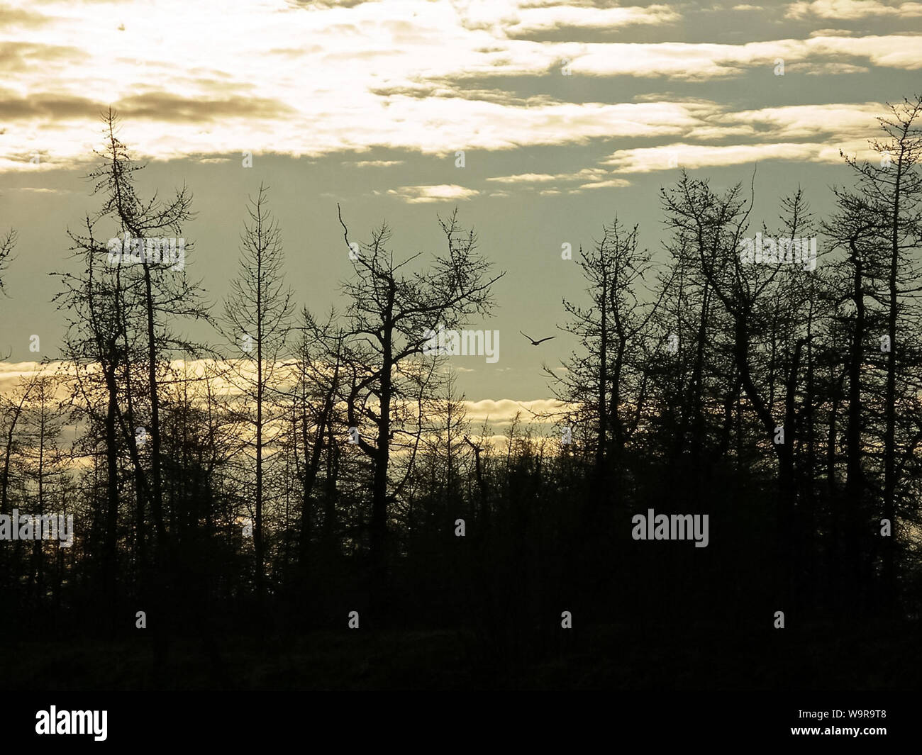 Landscape of the sunset. Beautiful sky. The colors of sunset Stock ...