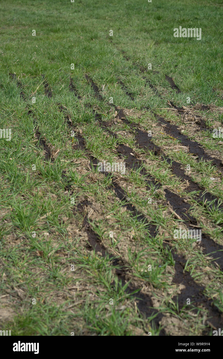 Liquid manure hi-res stock photography and images - Alamy