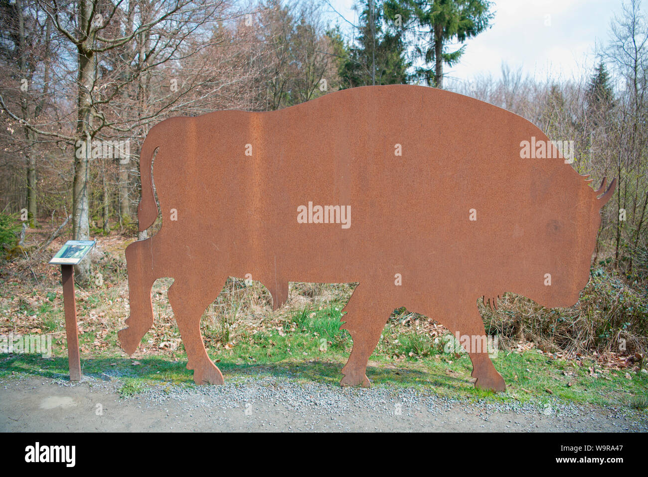 Bison model hi-res stock photography and images - Alamy