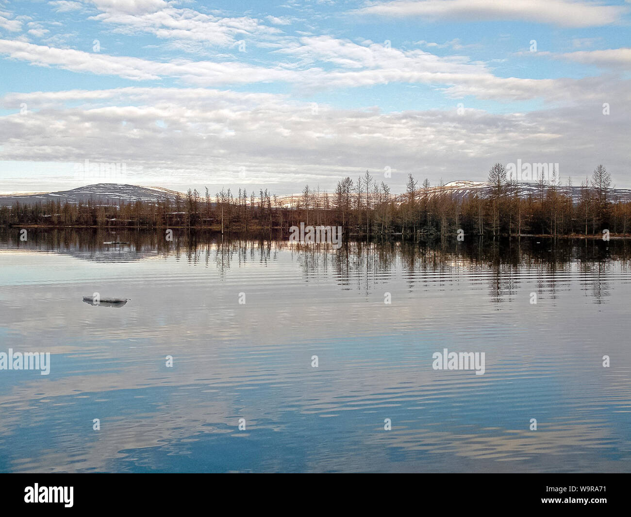 River landscape Early spring. bare trees, melting snow Stock Photo - Alamy
