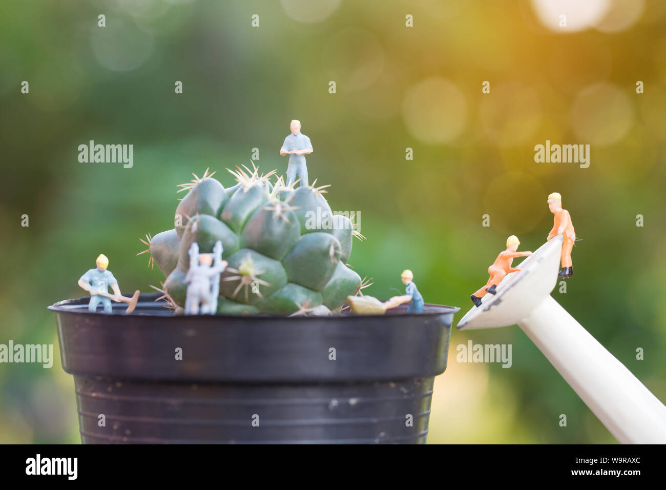 miniature people working in the cactus garden Stock Photo - Alamy