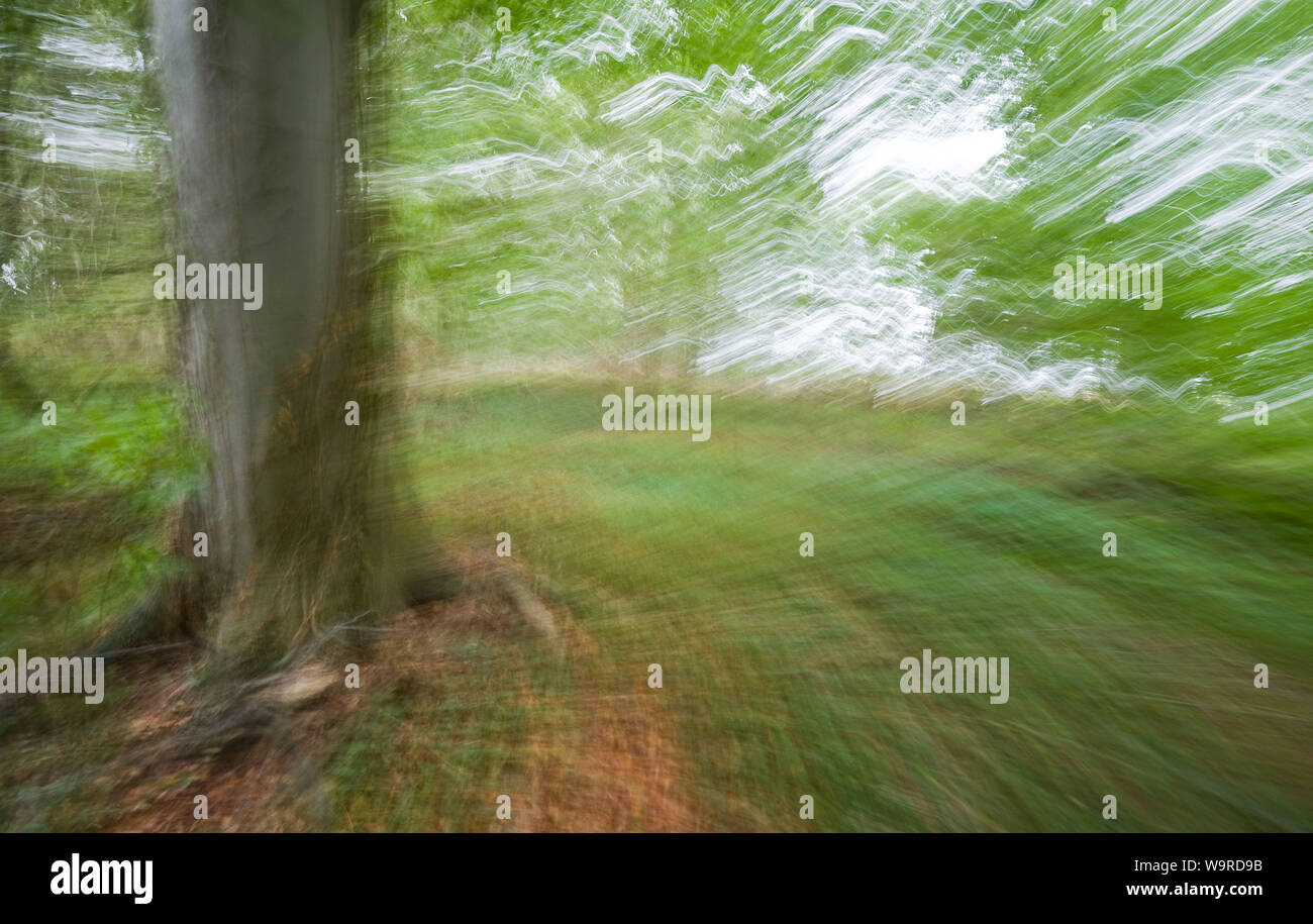 Sehnde, Germany. 15th Aug, 2019. View with moving camera and long ...