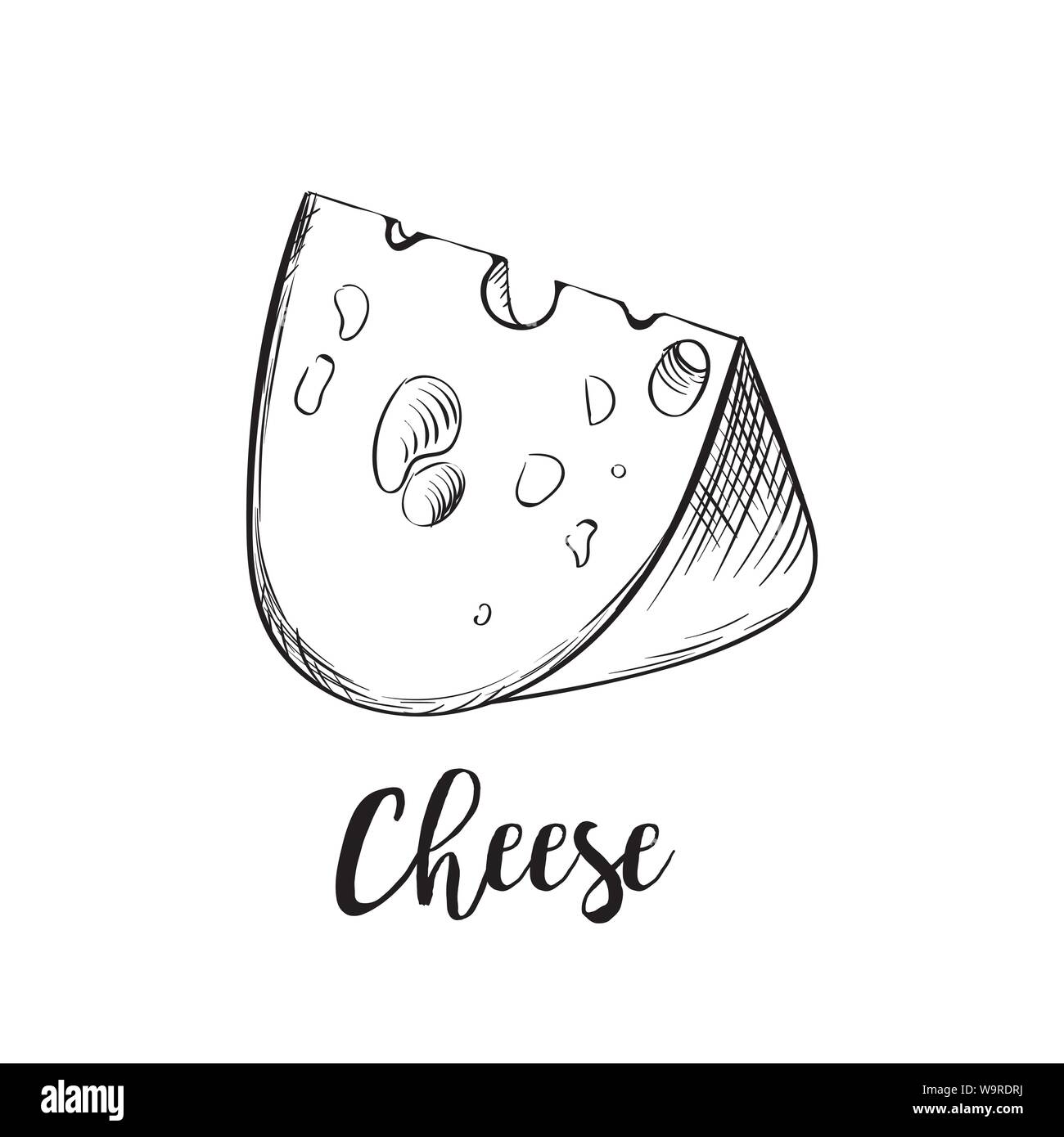 Cheese line art handdrawn. Big pieces of maasdam or swiss type dairy ...