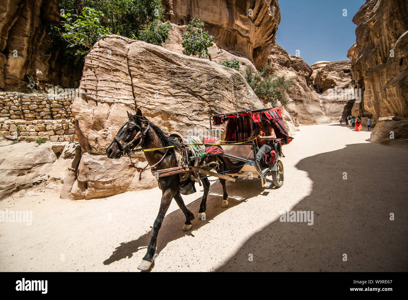 Petra, Jordan - May, 2019: Horse Carriange Brings Tourists Into the ...
