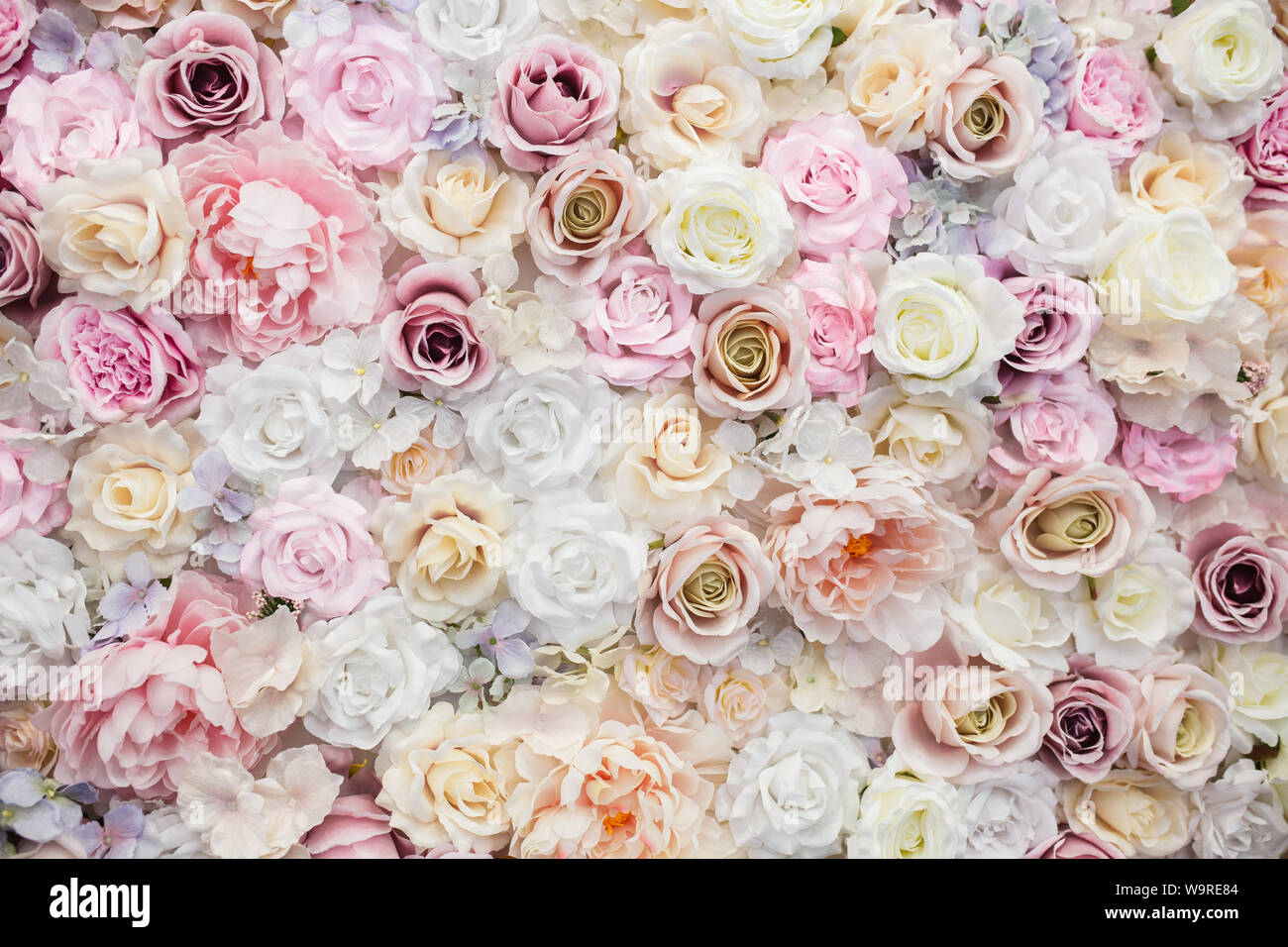 Flower bid hi-res stock photography and images - Alamy