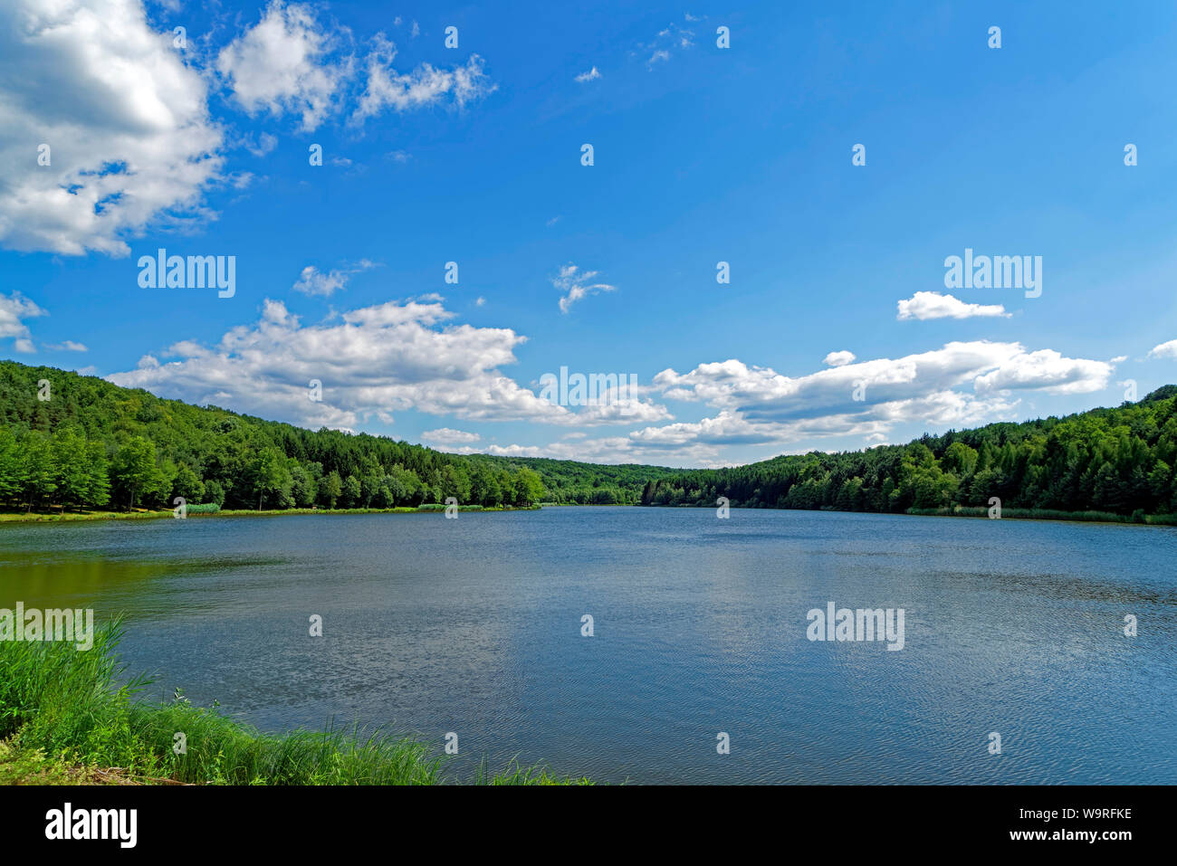 Stausee, Hirschsee, Hársas tó Stock Photo - Alamy