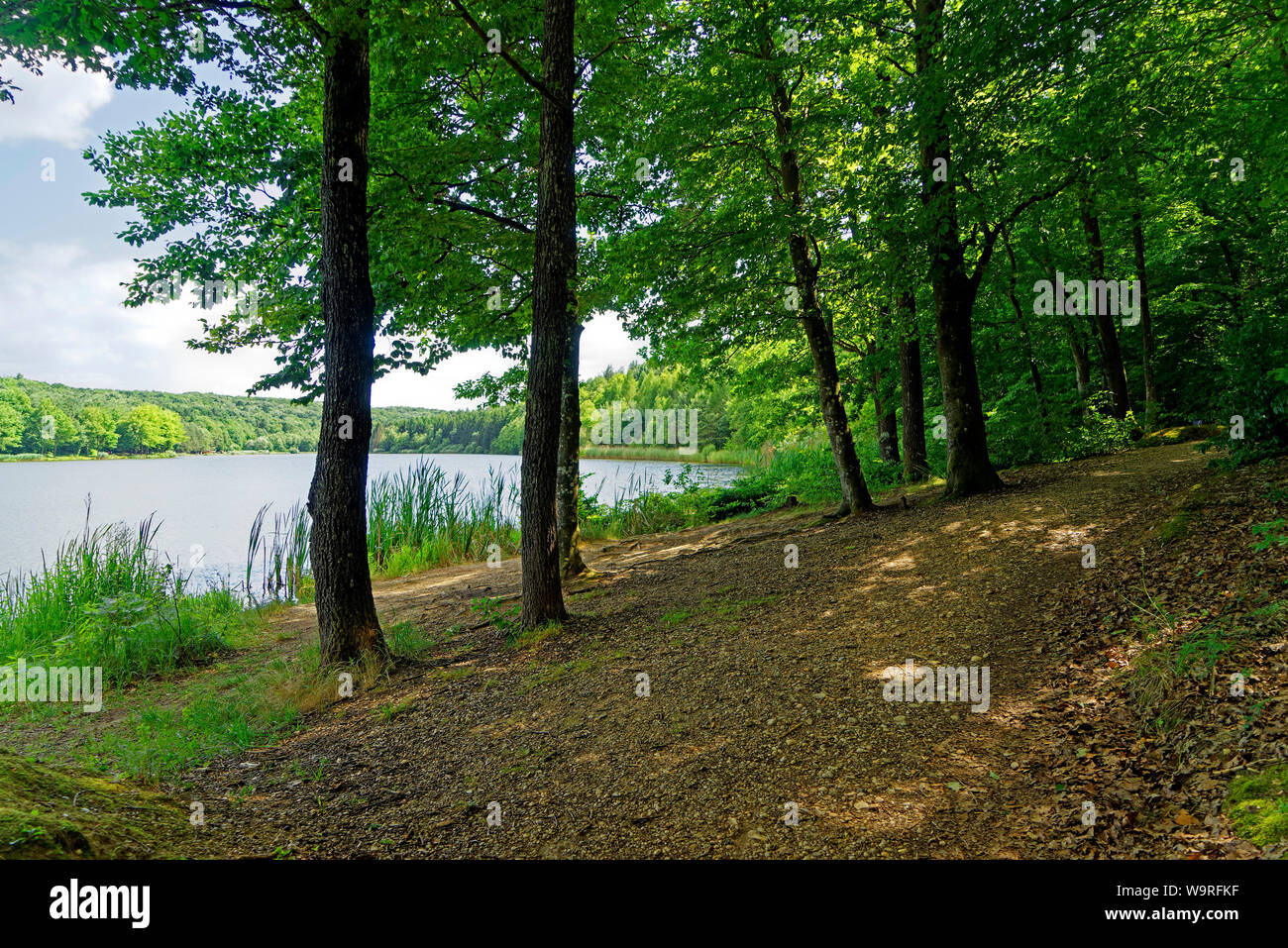 Hirschsee hi-res stock photography and images - Alamy