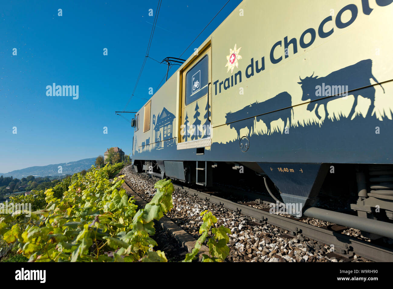 Switzerland, Vaud, Waadt, Montreux,Châtelard, train, Zug, MOB, Train du ...