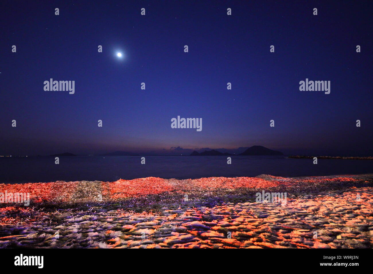 Electric storm over rainforest hi-res stock photography and images - Alamy