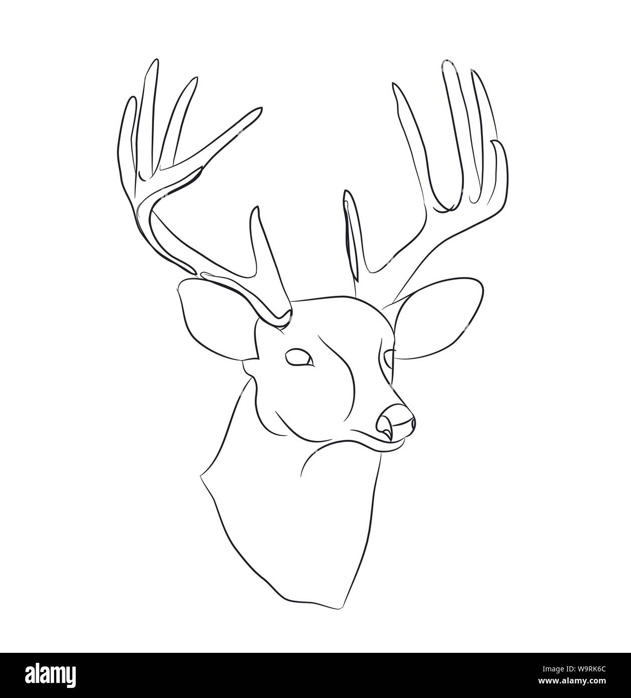 deer portrait lines, vector, white background Stock Vector Image & Art ...