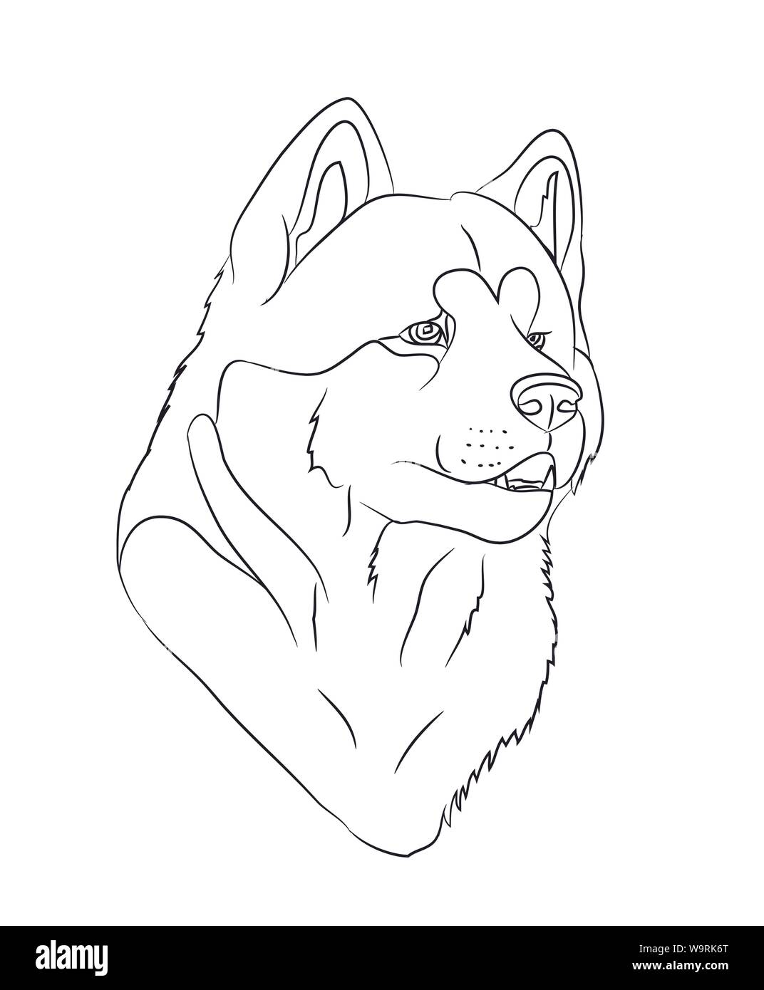 dog portrait, lines, vector, white background Stock Vector Image & Art ...