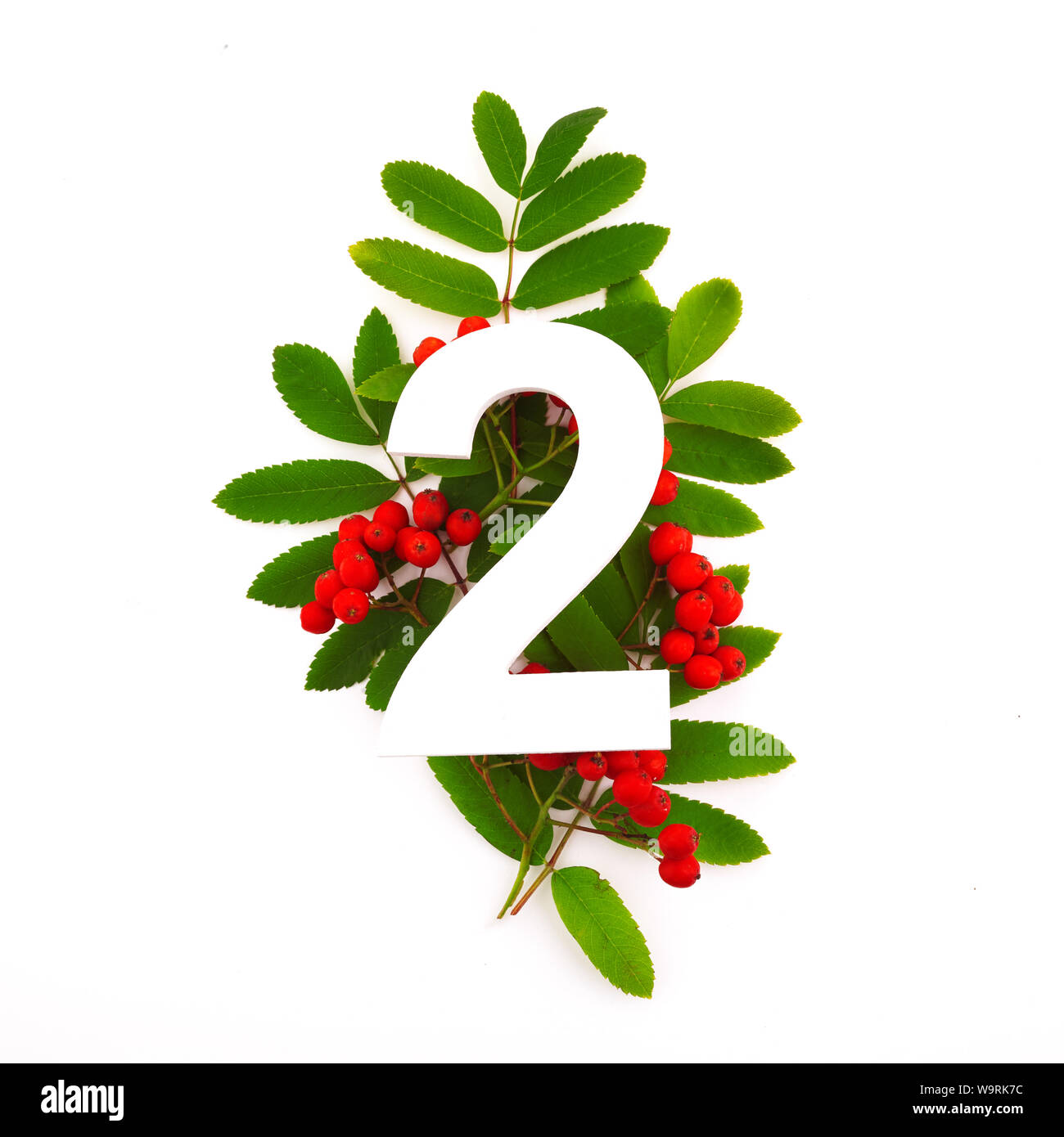 Number two shape with green leaves and red rowan berries. Nature ...