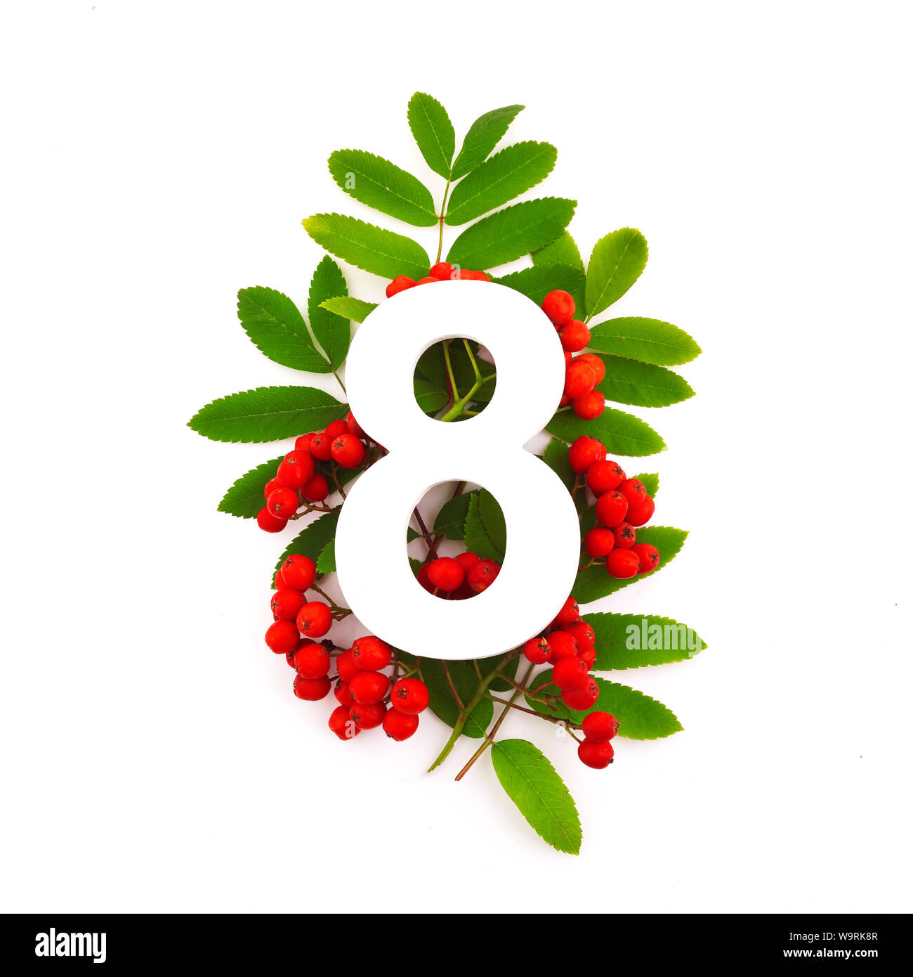 Number eight plant Cut Out Stock Images & Pictures - Alamy