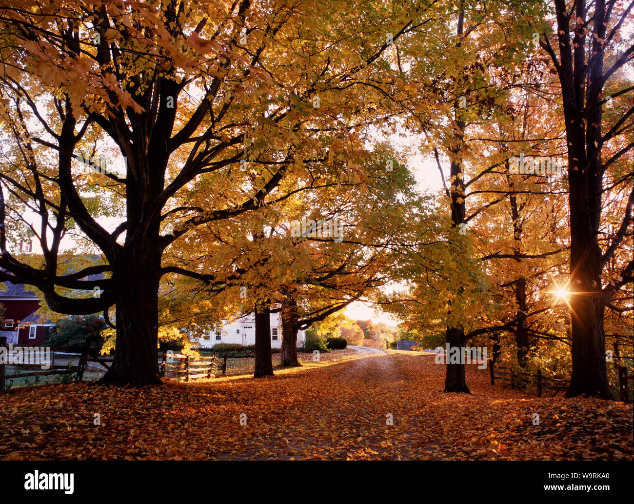 Sunrise farm country pastoral hi-res stock photography and images - Alamy