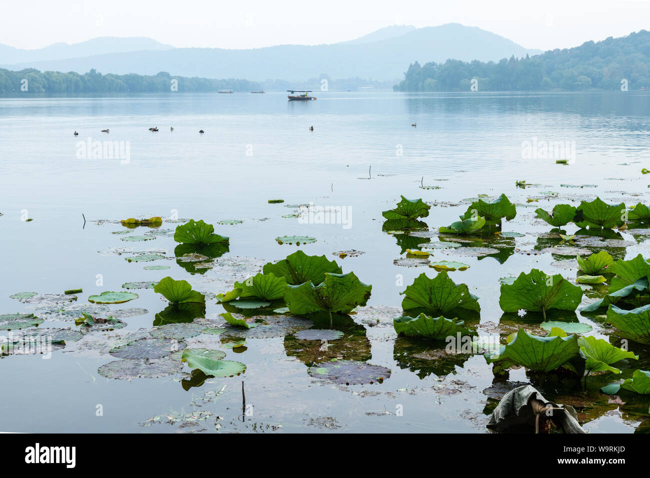 Asia, China, Chinese, Peoples Republic, Hangzhou, West Lake, *** Local ...